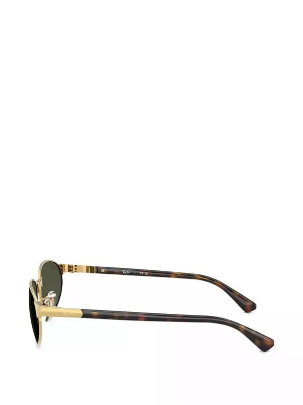 Ray-ban Oval-frame Sunglasses
