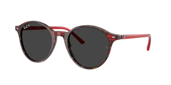 Ray-ban Tortoiseshell Round Frame Sunglasses - Polarized Black