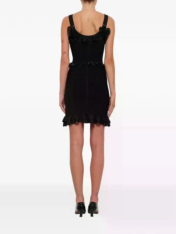 Alexander McQueen Ruffled Lace Jacquard Dress