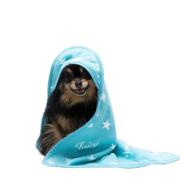 Juicy Couture Hooded Pet Towel - Turquoise