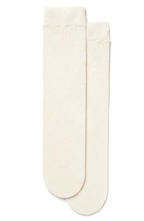 Swedish Stockings Rosa Lace Knee High Socks - Ivory