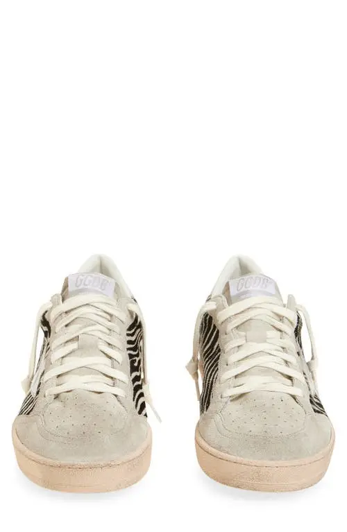 GOLDEN GOOSE Ball Star Genuine Calf Hair Sneaker - Zebra