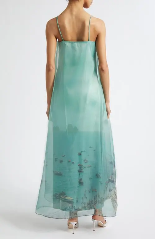Staud Delfina Print Organza Maxi Dress