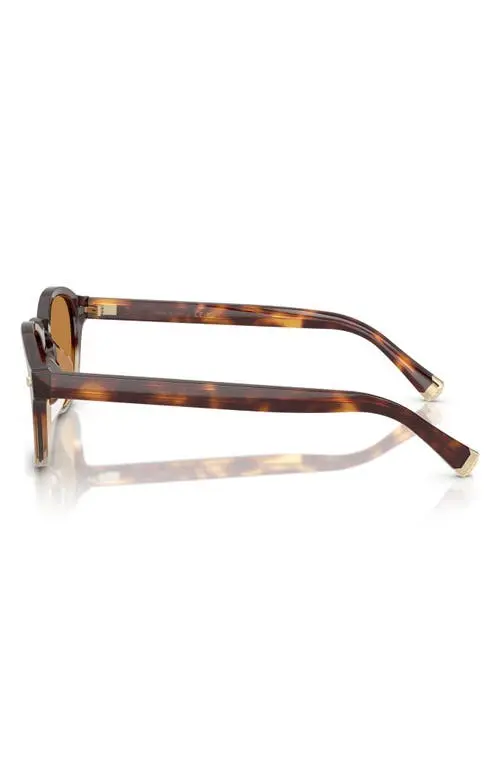 Brunello Cucinelli Square Acetate Sunglasses