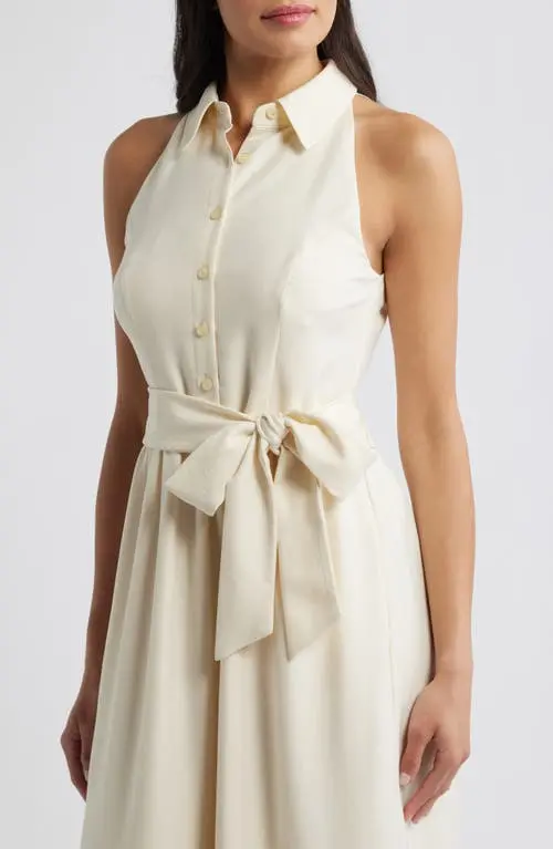 Vince Camuto Sleeveless Embroidered Shirtdress