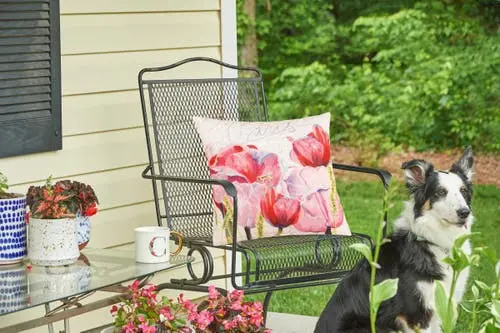 C&F HOME Tulips Garden "paris" Indoor/outdoor Accent Pillow 18" X 18