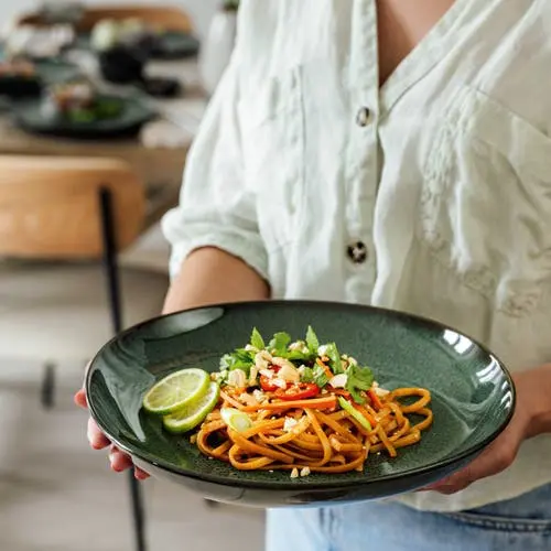 VILLEROY & BOCH Lave Vert Dinner Bowl - Multi