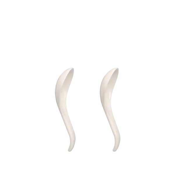 VILLEROY & BOCH Soup Passion Asia Spoon Pair