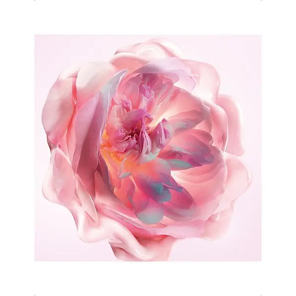 Dior Miss Melt-in Hand Cream