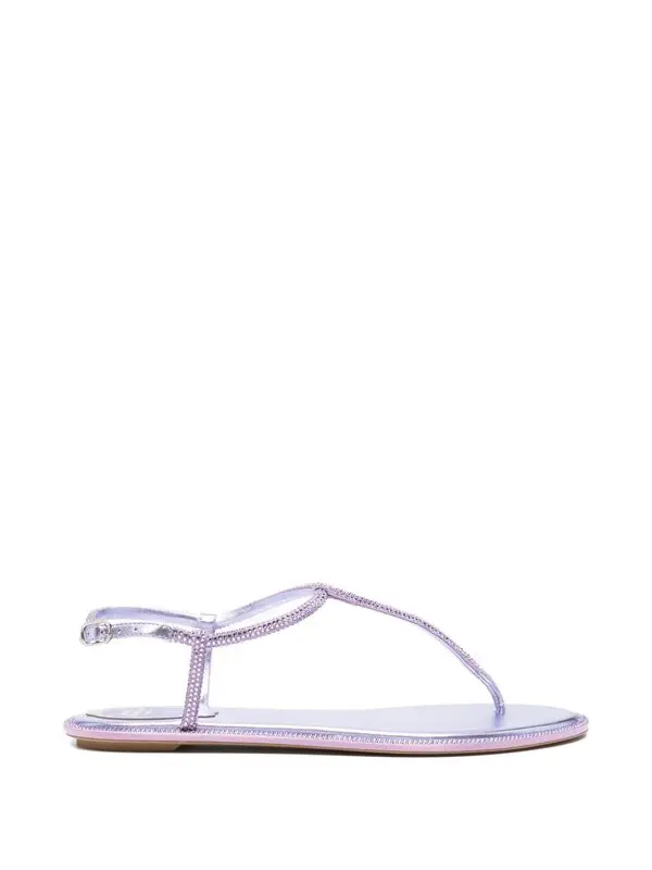 Rene Caovilla Diana Thong Sandals - Viola