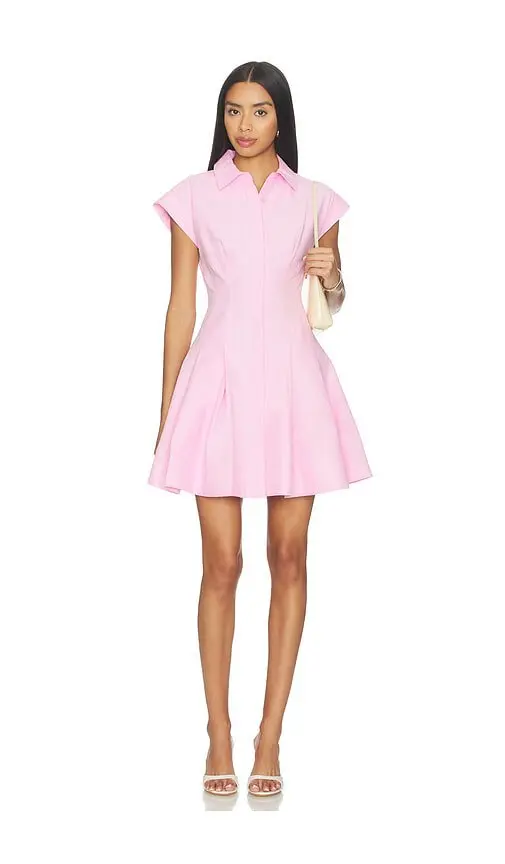 Simkhai Clemmie Cotton Mini Dress