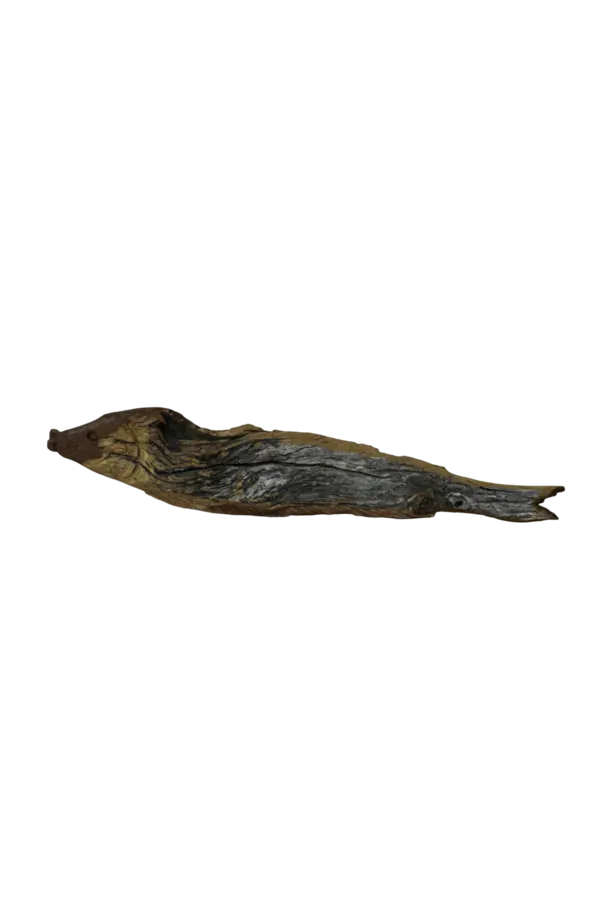 Botanical Boys Driftwood Hand Carved Fish One One Six Five