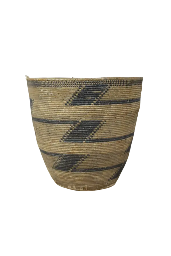 Botanical Boys Neutrals / Vintage Tutsi Basket One Zero Six Seven