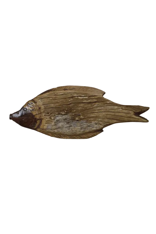 Botanical Boys Driftwood Hand Carved Fish One One Six One