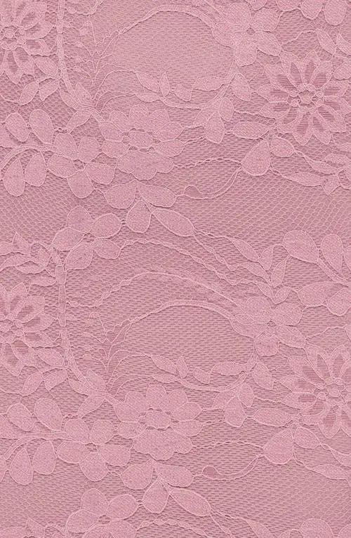 PETAL & PUP Off-the-shoulder Lace Maxi Dress