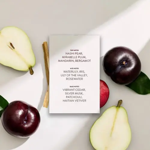 MICHAEL MALUL Ktoret Aura Eau De Parfum - 10ml
