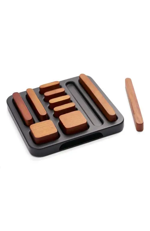 APTO Tidy Set Of 10 Magnets