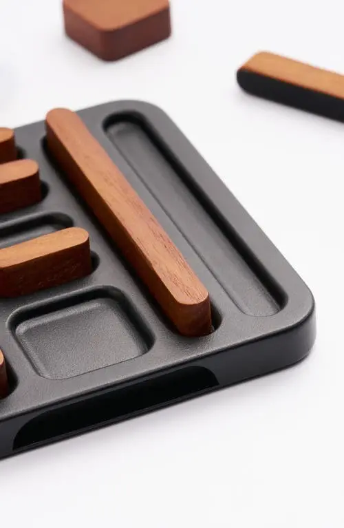 APTO Tidy Set Of 10 Magnets
