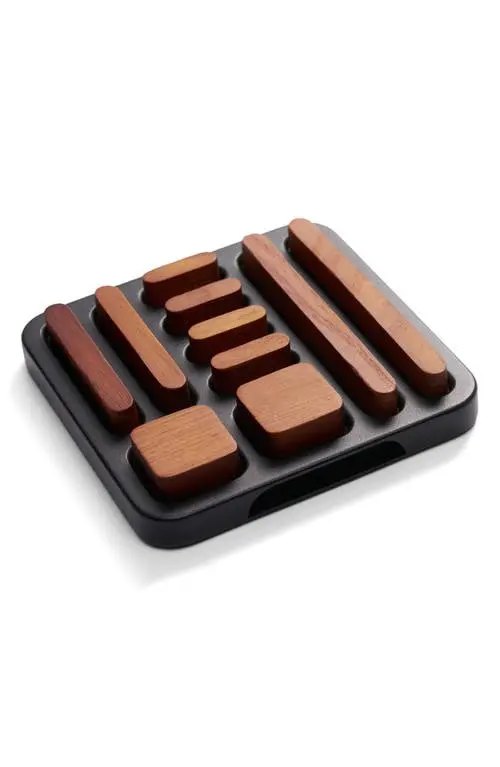 APTO Tidy Set Of 10 Magnets