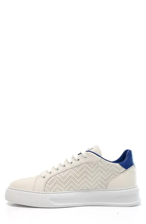 Roberto Cavalli Low Top Perforated Leather Sneakers