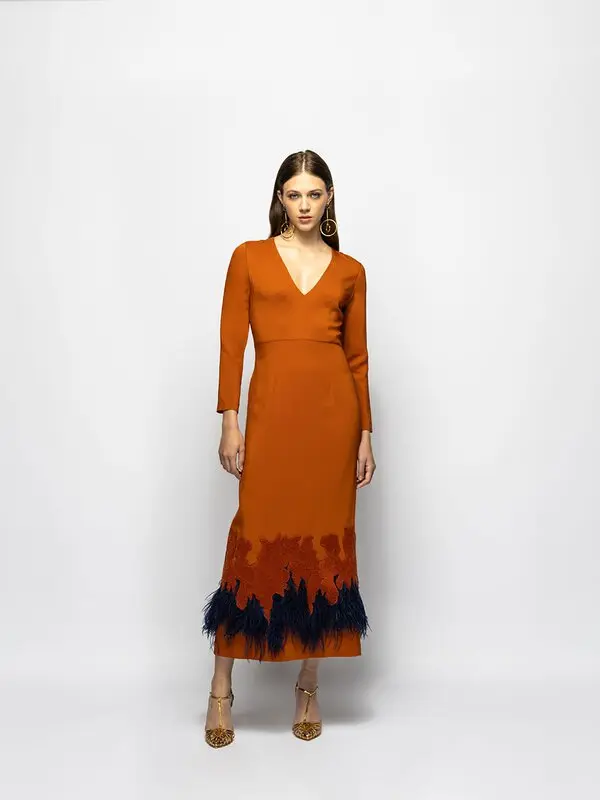 PAULA S Choice Sakura Cinnamon Stick Embroidered Long-sleeved Maxi Dress With Feathers