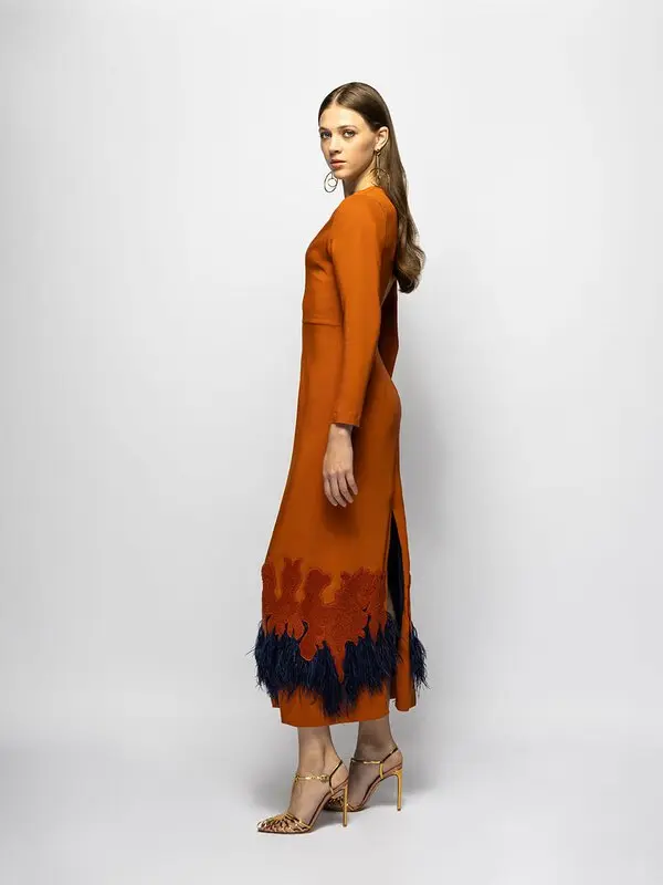 PAULA S Choice Sakura Cinnamon Stick Embroidered Long-sleeved Maxi Dress With Feathers