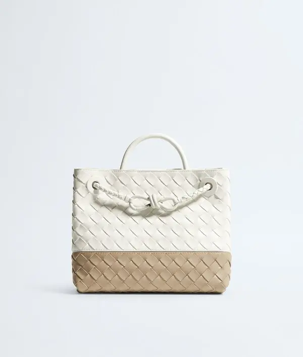 Bottega Veneta Small Andiamo - Alabaster/ecru