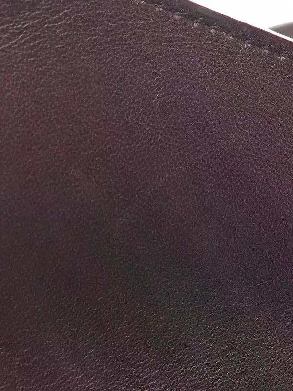 Bottega Veneta The Clip Shoulder Bag