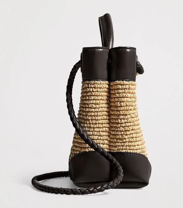Bottega Veneta Small Raffia Andiamo Top-handle Bag