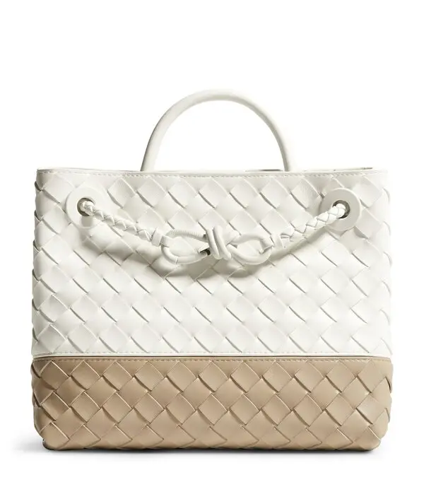 Bottega Veneta Small Andiamo Top-handle Bag - White
