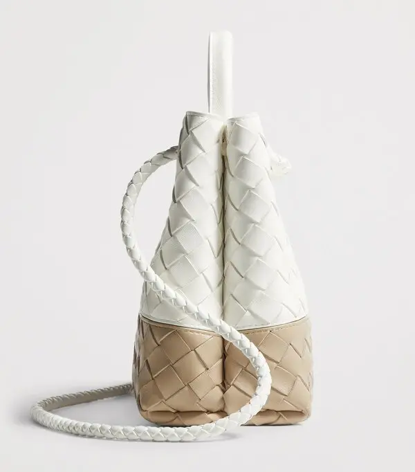 Bottega Veneta Small Andiamo Top-handle Bag
