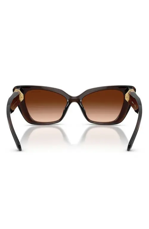 SWAROVSKI Cat Eye Sunglasses - Transparent Brown/brown