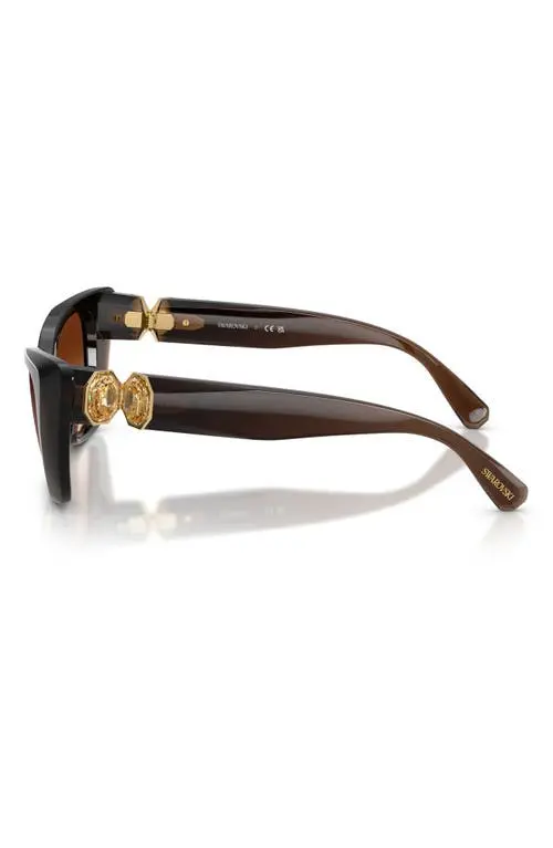 SWAROVSKI Cat Eye Sunglasses - Transparent Brown/brown