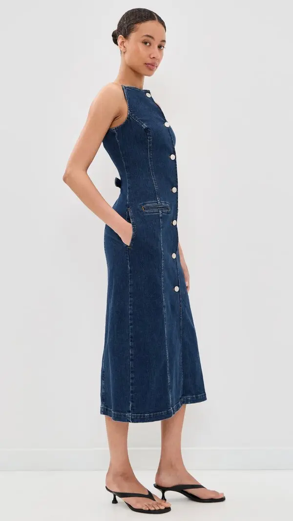 ALIGNE Santiago Denim Button Dress