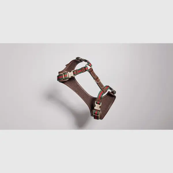 Gucci Extra-small Padded Pet Harness With Gg Canvas And Web Straps