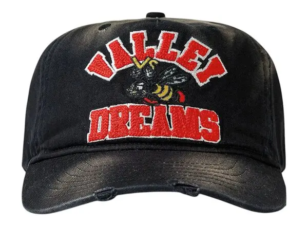 VALE FOREVER Wrecked Anthem Cap - Dest/black
