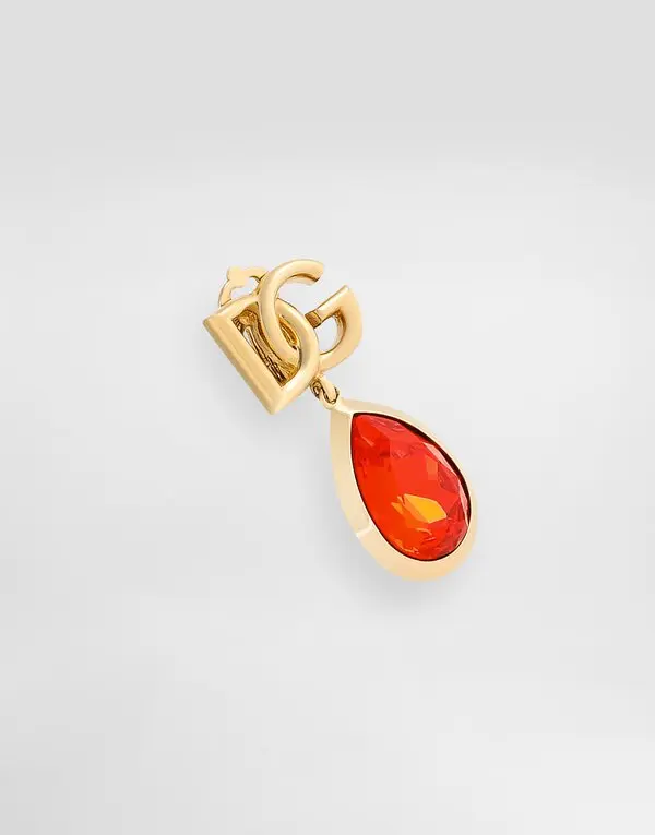 Dolce & Gabbana Clip Earrings With Logo
