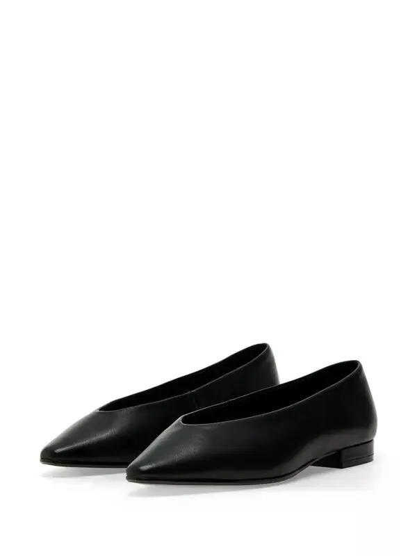 Aldo Zolita Pointed-toe Ballet Flats