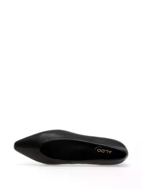 Aldo Zolita Pointed-toe Ballet Flats