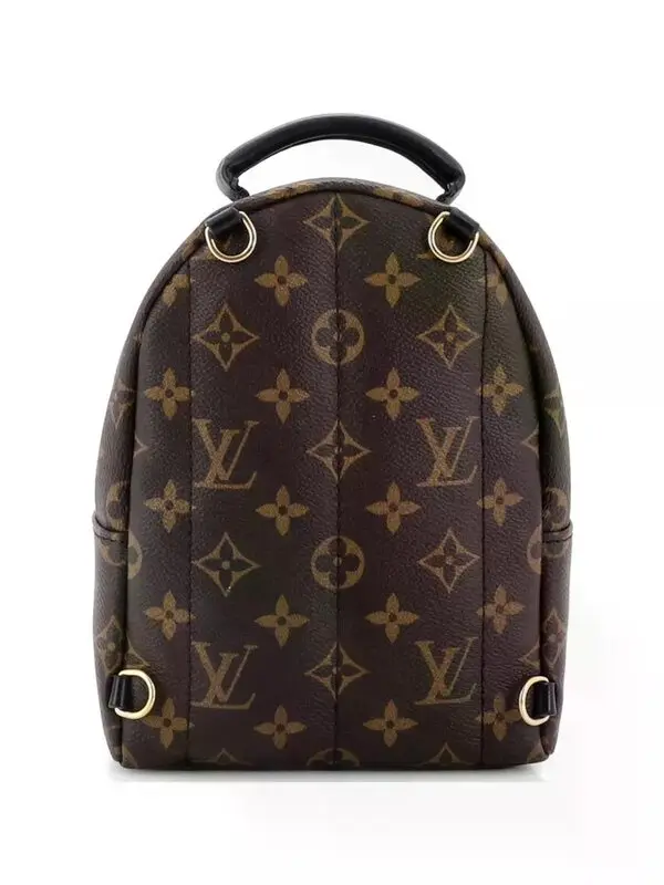 LOUIS VUITTON Palm Springs Mini Backpack Monogram Canvas