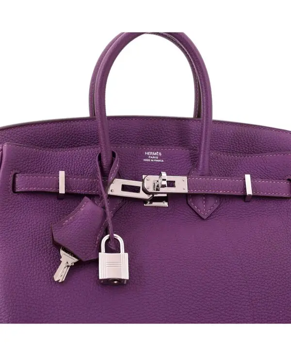 Hermès Birkin 25 Handbag Purple Togo With Palladium Hardware - Anemone