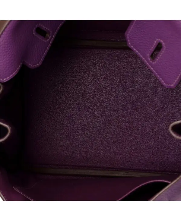 Hermès Birkin 25 Handbag Purple Togo With Palladium Hardware - Anemone