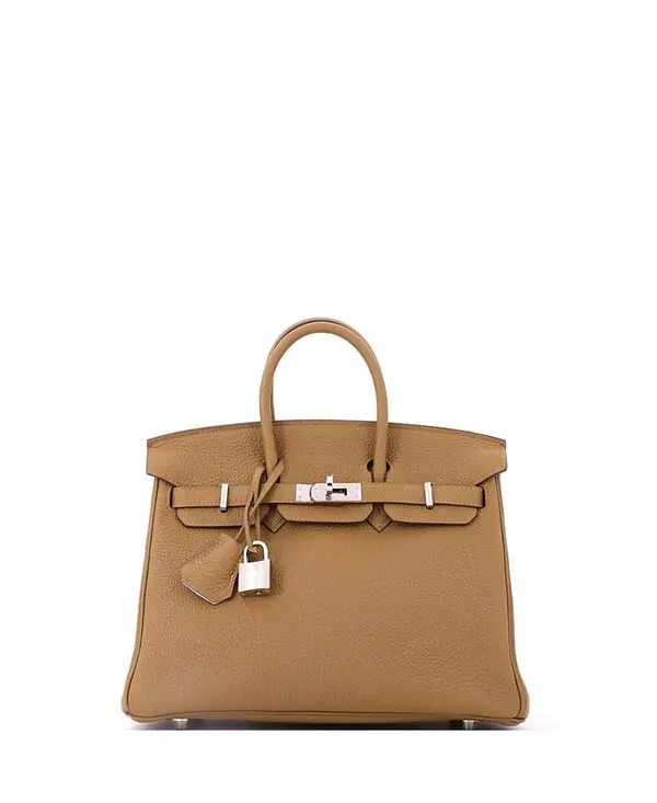 Hermès Birkin 25 Handbag Verso Togo With Palladium Hardware - Verso - Broze Dore/bleu Brume