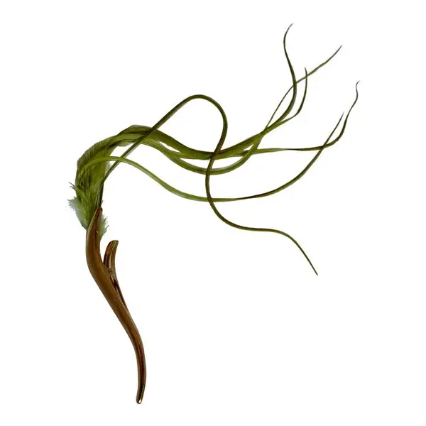 ROMER MILLINERY Oversized Feather Clip With Gold Tone Hardware - Green