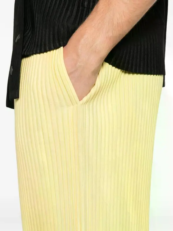 Issey Miyake Tailored Pleats Cropped Trousers