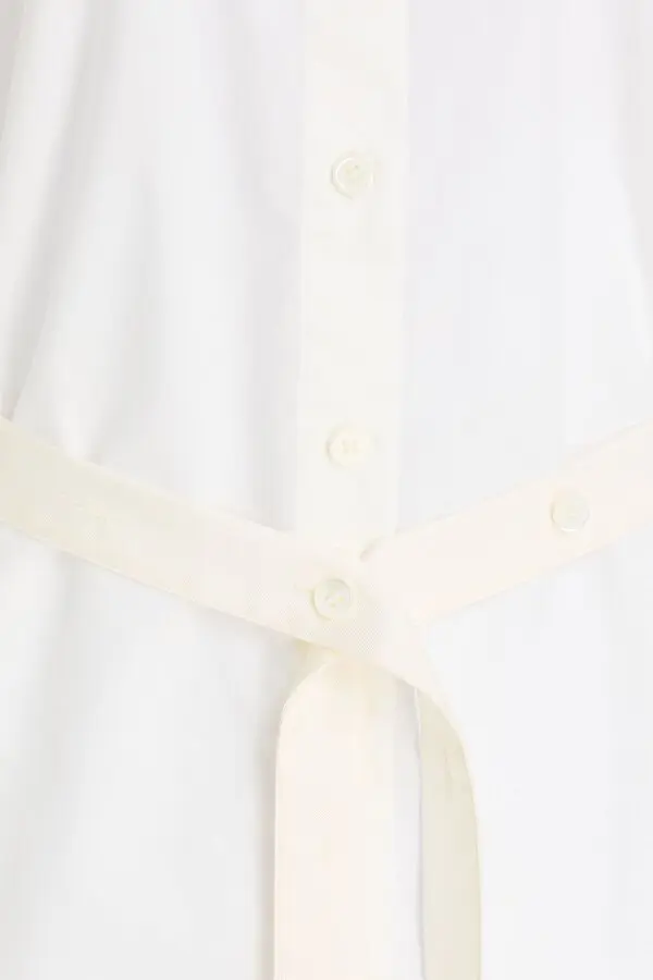 RÓHE Cotton-poplin Shirt With Paneled Cutout Waist