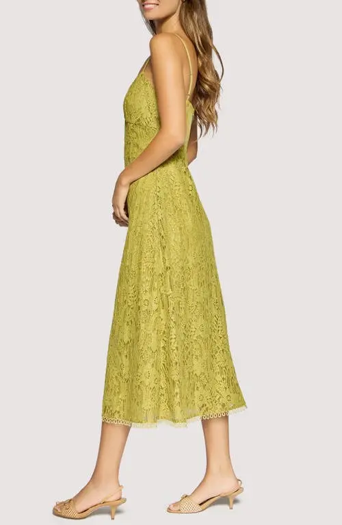 LOST + WANDER Serafina Lace Midi Dress