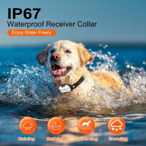 TATA Pupguide 3000 Lite Dog Remote Trainer Collar