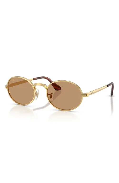 Ray-ban Oval Sunglasses - Arista/brown