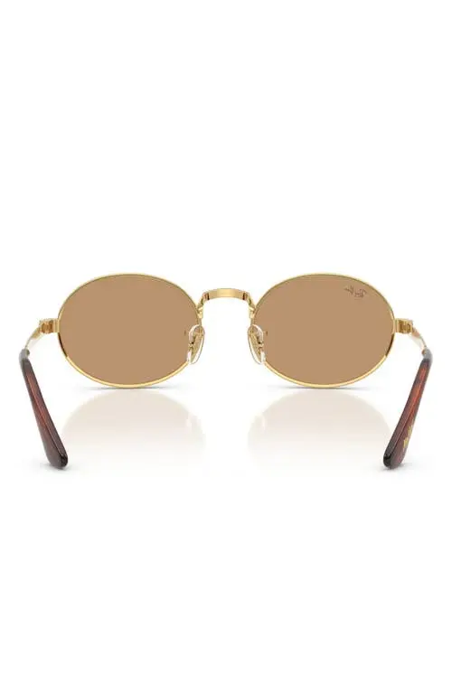 Ray-ban Oval Sunglasses - Arista/brown